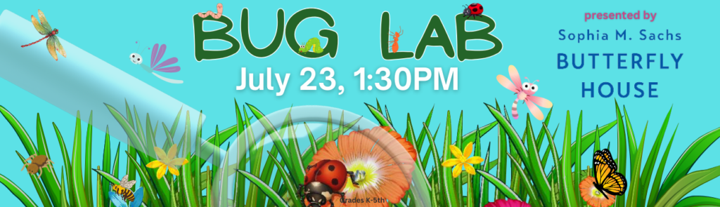 Bug Lab – Webster Groves Public Library